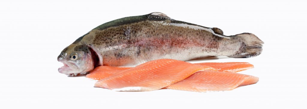 Murko Seafood – Groothandel, import en export van vis en zeevruchten.