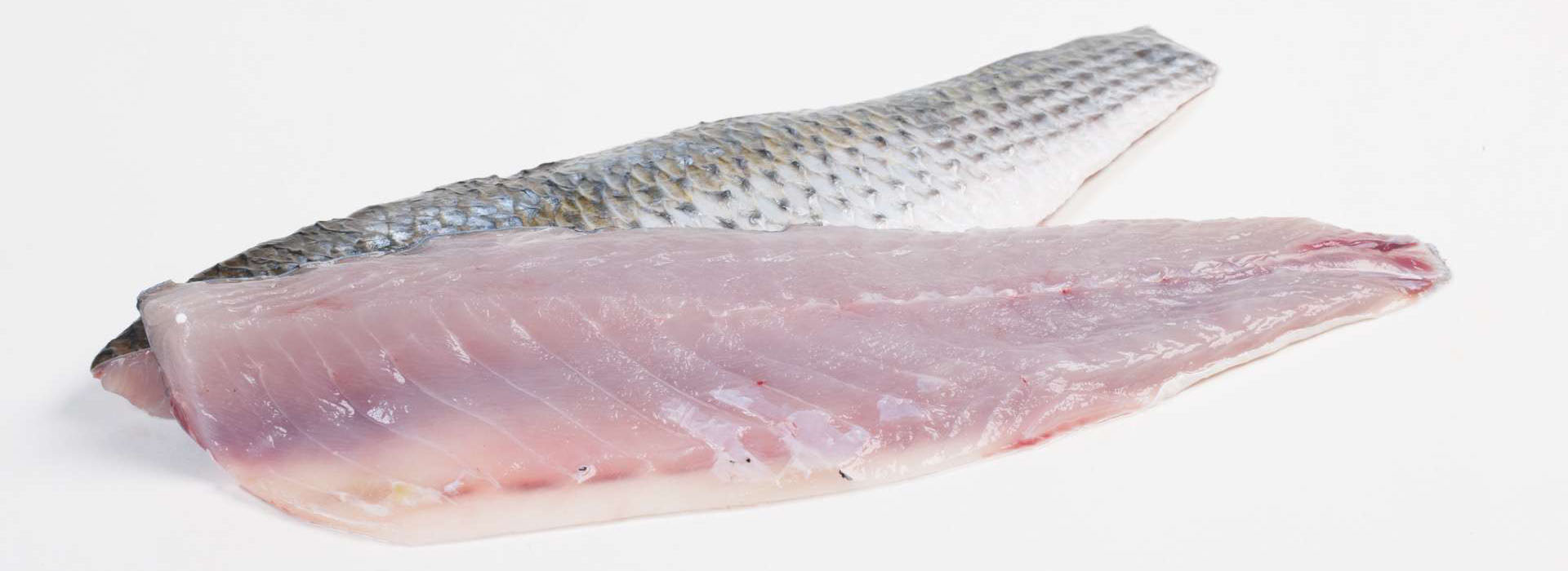 Murko Seafood – Groothandel, import en export van vis en zeevruchten.