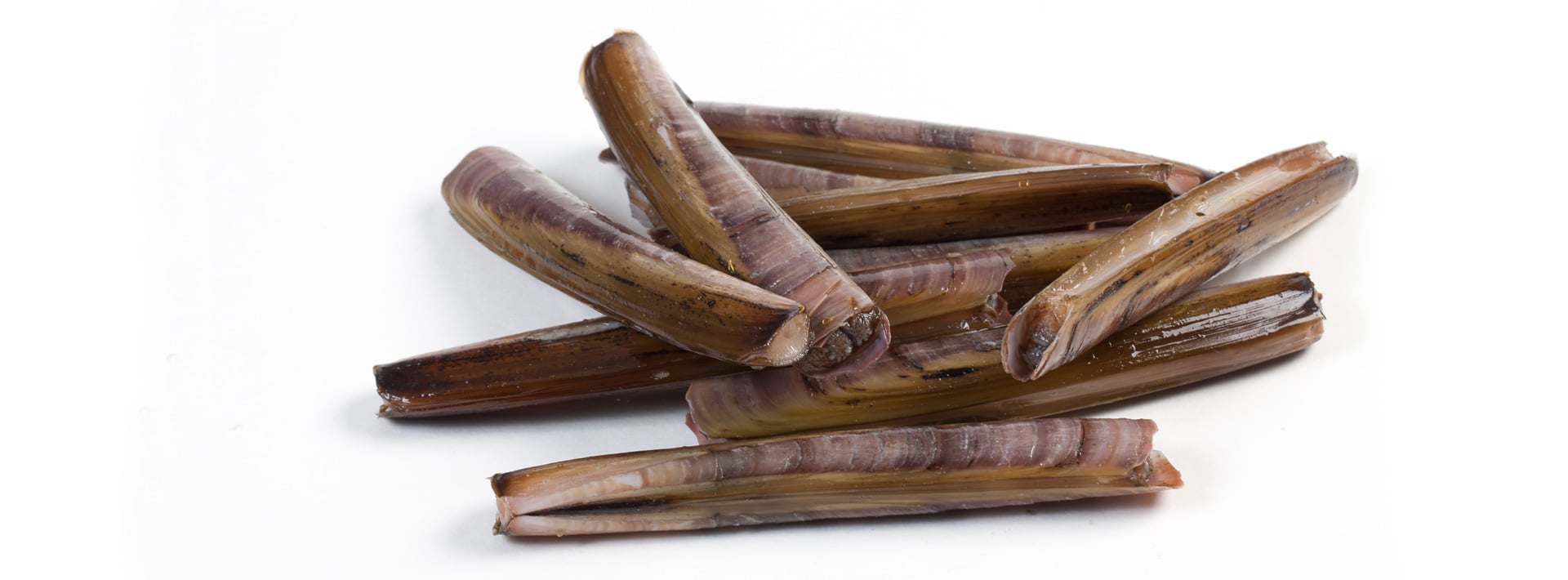 Scheermessen – Murko Seafood