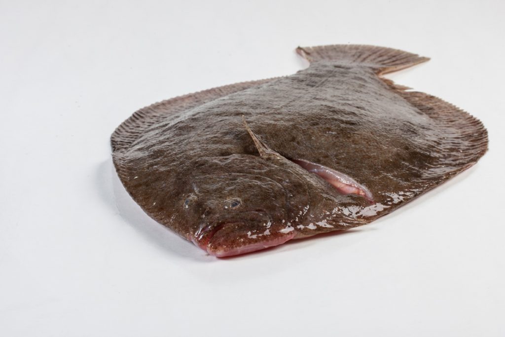 Griet – Murko Seafood