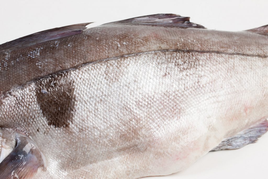 Schelvis – Murko Seafood