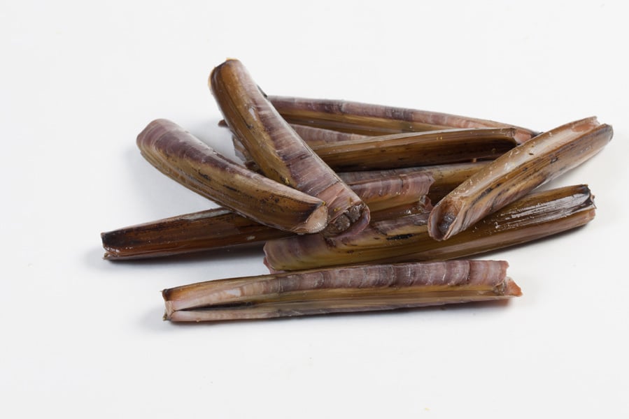 Scheermessen - Murko Seafood